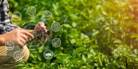 IoT na agricultura saiba mais sobre essa solução inovadora