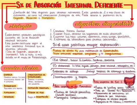 Síndrome de absorción intestinal deficiente Cuadro clínico y