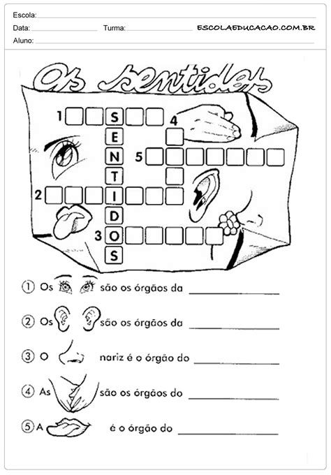 Atividade de ciência os sentidos Escola Educação