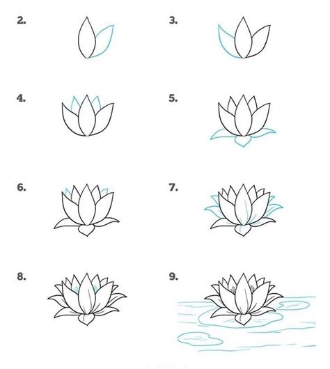 How To Draw A Simple Flower Step By Step