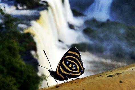 4 Day Private Guided Tour Of Iguazu Falls