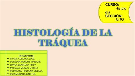 Histología de la tráquea MARYURI LISBETH uDocz