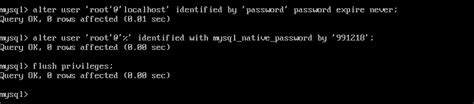 docker拉取mysql镜像，并创建容器，使用navicat客户端连接mysql容器 bingtaili的博客 csdn博客
