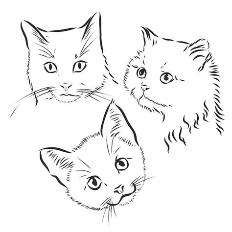 Ilustraci N De Vector De Gatos Lindos En Retrato En Blanco Y Negro De