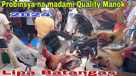 PinakaMalakas Na Bentahan Ng QUALITY Manok Sa Lipa Batangas Sulit