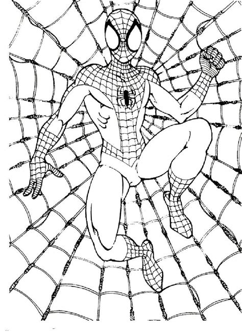 Total Imagen Telara A De Spiderman Para Colorear Abzlocal Mx