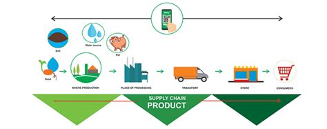 Everything About Food Traceability TraceVerified
