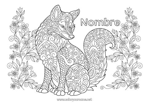 Nº de colorear 1566 Flores Verano Primavera