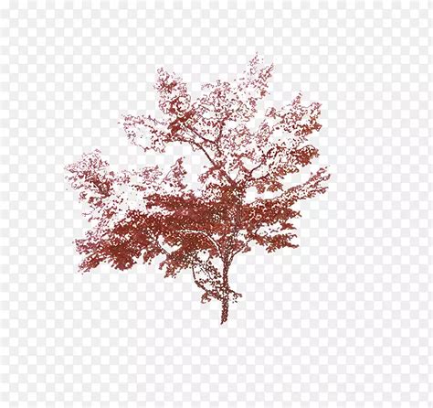 Png Png