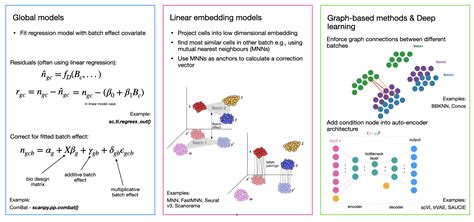 Single Cell Tutorial Readthedocs