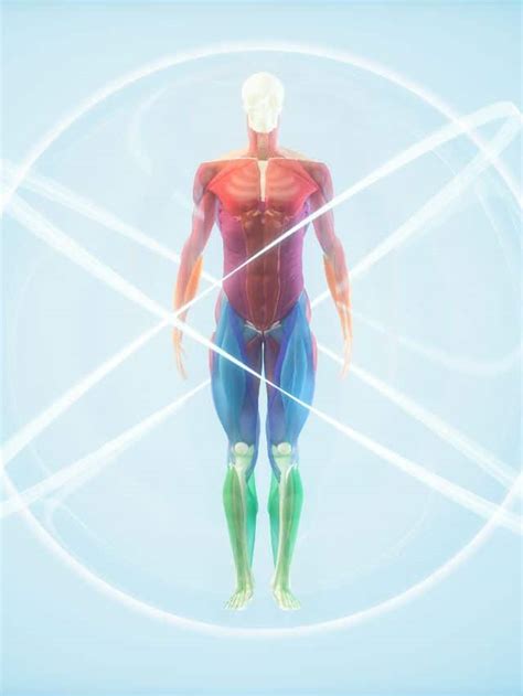 What Is Mast Cell Activation Syndrome The Indian Express