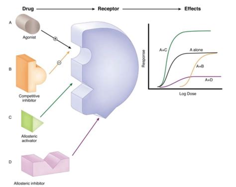 Chapter Advanced Pharmacology Basic Principles Of Pharmacology