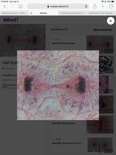 Cell Cycle Flashcards Quizlet