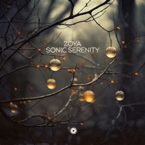 Sonic Serenity Single De ZOYA En Apple Music