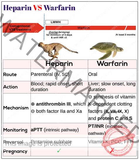 Heparin Vs Warfarin Medicine Keys For Mrcps