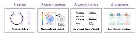 Top 4 Tips For Designing A Graphical Abstract BioRender Blog