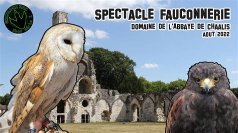 Spectacle Fauconnerie au Domaine de l Abbaye de Chaalis Août 2022
