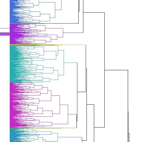 dendrogram showing the clustering of sorghum genotypes download scientific diagram