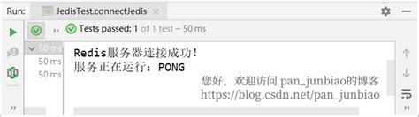 java使用jedis操作redis的5种数据类型 jedis type csdn博客