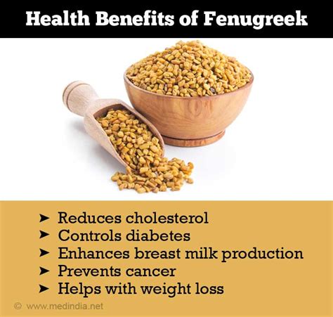 Fenugreek Methi Health Benefits Uses And Side Effects