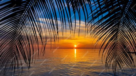 Premium Photo Silhouette Of Palm Trees Beautiful Sunset On The Tropical Sea Beach