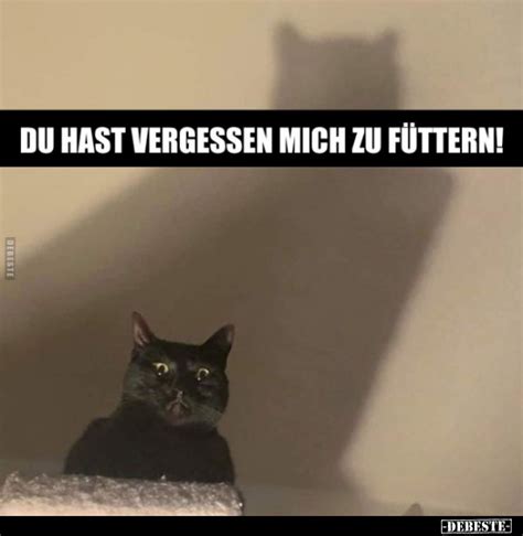 Du Hast Vergessen Mich Zu F Ttern Debeste De