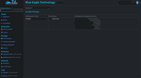 VLAN Private Eagle Networks Care Portal
