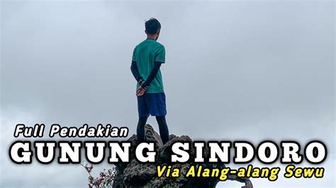 GUNUNG SINDORO VIA ALANG ALANG SEWU WONOSOBO YouTube