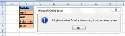 Cara Menghapus Data Ganda Di Excel Kusnendar