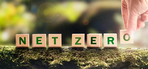 IATA Outlines Roadmap For Achieving Net Zero By 2050 AirGuide Info