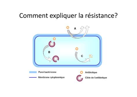 Bactérie et résistance bactérienne aux antibiotiques AlloSchool