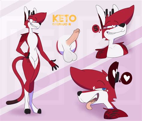 Rule 34 Keto Ketofur Ketofur Reference Image Reference Sheet 6967400