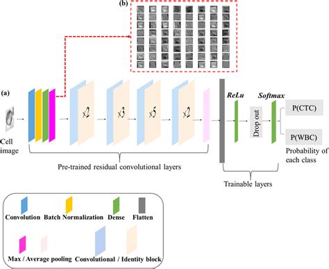 Resnet Convolutional Neural Networks With Svm Resnet Images And