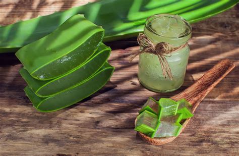 Aloe Vera Il Rimedio Contro Scottature Ed Eritemi Solari Farmacosmo Blog