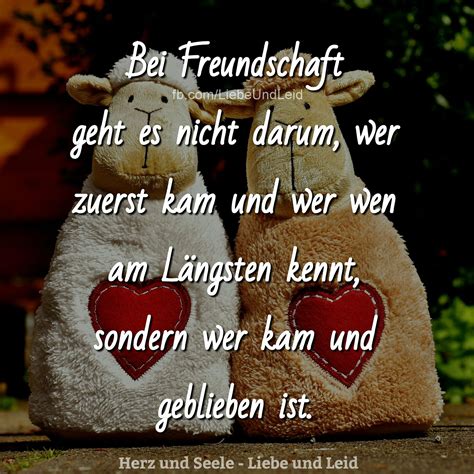 54 Sprüche Witzig Freundschaft Häufig sind es kleinen