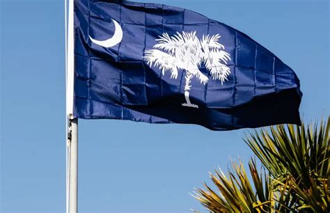 South Carolina Flag Meaning History And Symbolism Symbol Genie