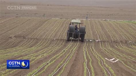 À proximité de Gaza les agriculteurs israéliens sont confrontés à une