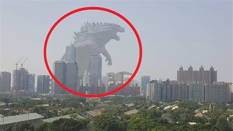 Top Godzilla Caught On Camera And Spotted In Real Life That Will