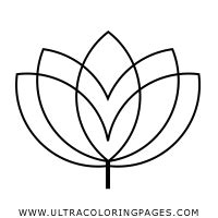 Flor De Lotus Desenho Para Colorir Ultra Coloring Pages