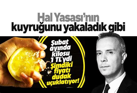 Sesli Makale Video Melih Altınok Hal Yasasının kuyruğunu