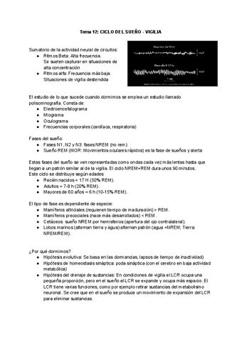 Tema 12 CICLO DEL SUENO VIGILIA Pdf
