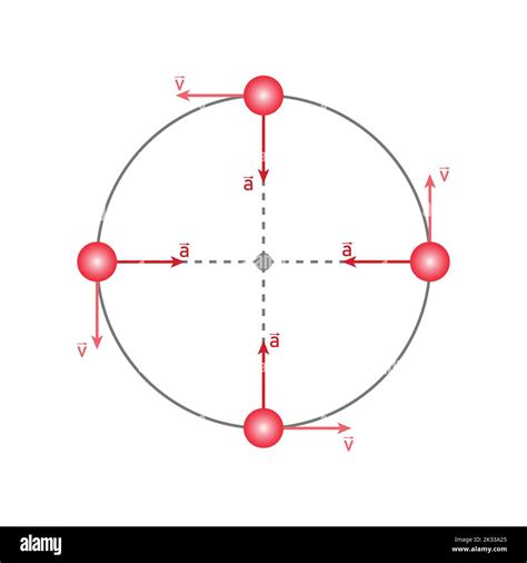 Diagrama de movimiento circular uniforme Velocidad y aceleración en