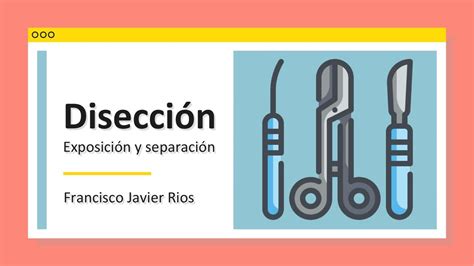 Disección Javier Rios uDocz