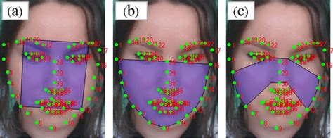 landmark based face skin extraction a a rectangular face roi¹⁷ b download scientific