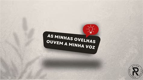 As Minhas Ovelhas Ouvem A Minha Voz YouTube
