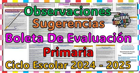 Observaciones Y Sugerencias Sobre Los Aprendizajes Para La Boleta De