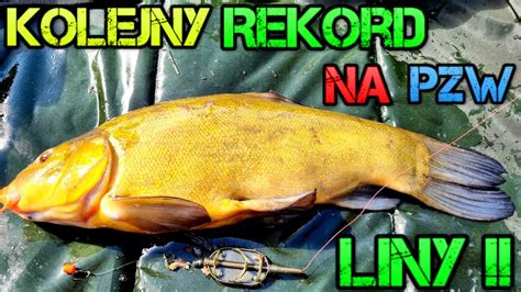 Metoda Na Liny Kolejny Rekord Na Pzw Method Feeder Wędkarstwo