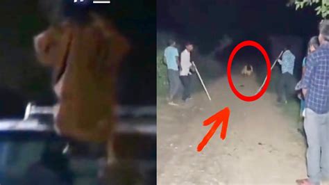 Pinaka Nakakatakot Na Video Sa Internet Aswang Huling Huli Sa Puno