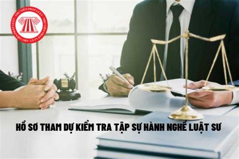 Thời gian kiểm tra kết quả tập sự hành nghề luật sư được quy định như