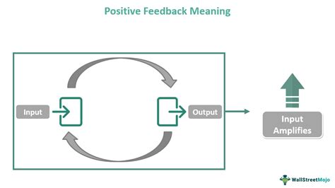 Positive Feedback What Is It Mechanism Examples Vs Negative